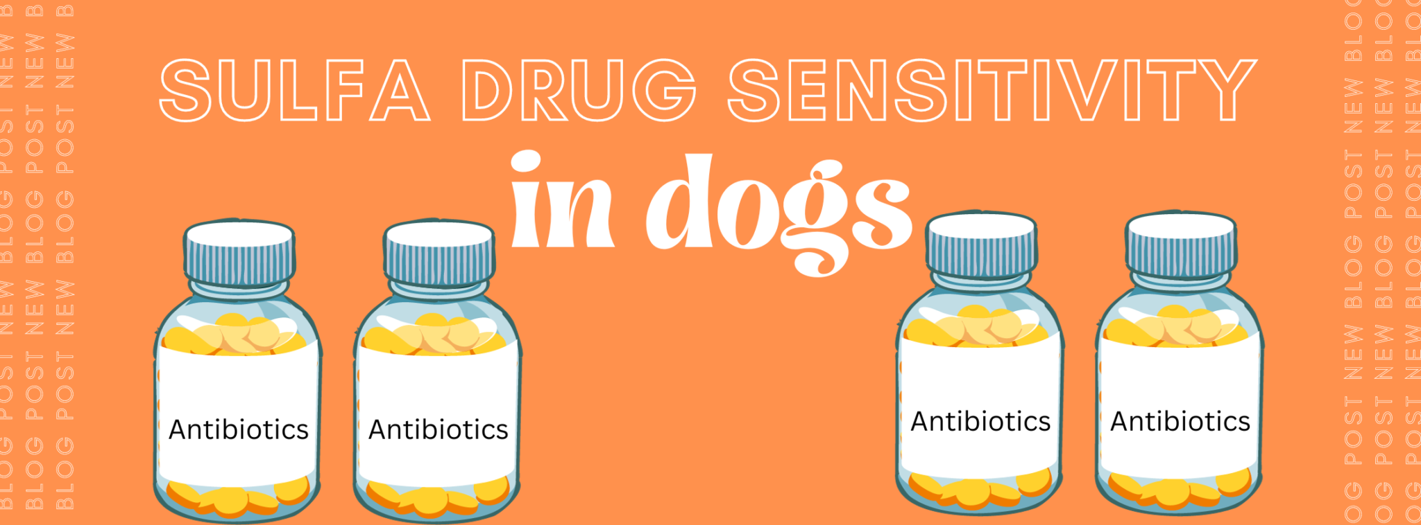 Sulfa Drug Sensitivity in Dogs | Champion of My Heart