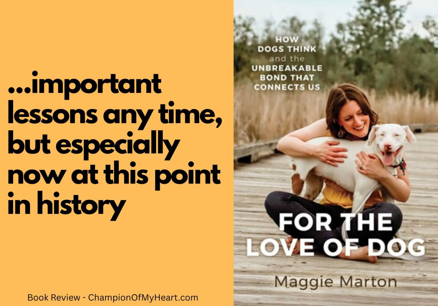 For the Love of Dog Book Review | Champion of My Heart